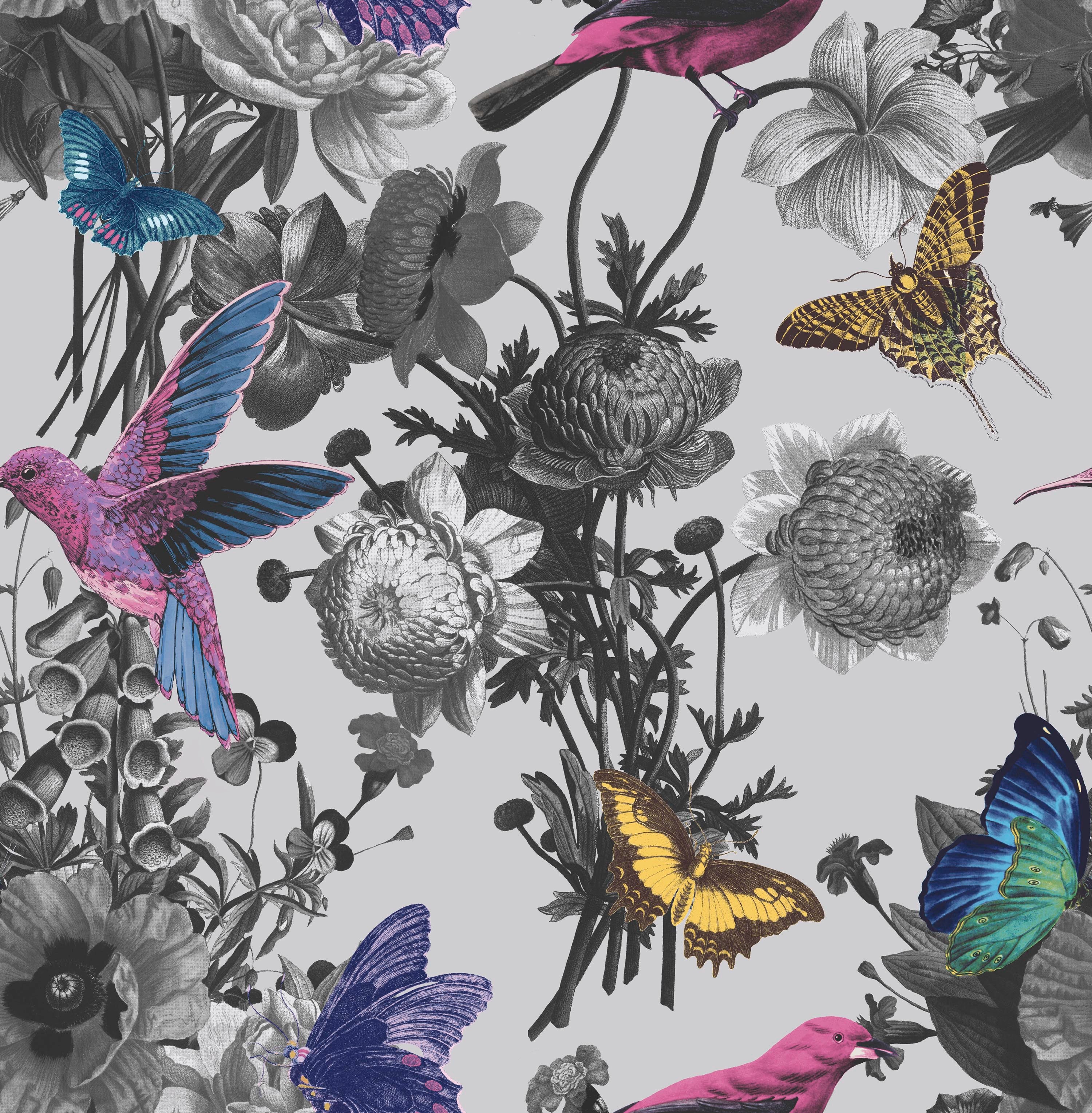 106430 Jardin Grey Curiosity Wallpaper by Graham and Brown | Wallpaper ...